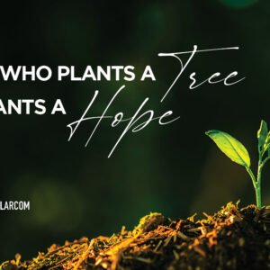 Shop - Million Trees Foundation Inc.